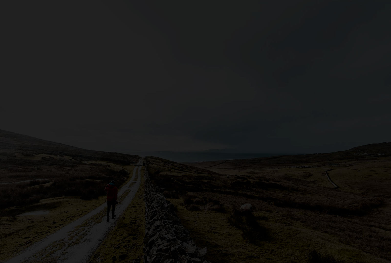 Digital Marketing Agency Digital Transformation Core Optimisation